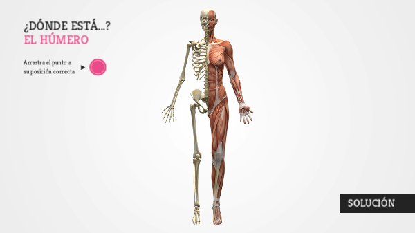 Hito 1 Prueba diagnóstica | Genially