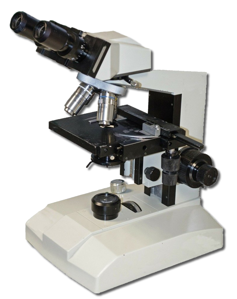 PY_Activité microscope virtuel mitose | Genially