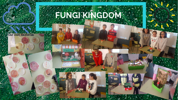 Fungi kingdom | Genially