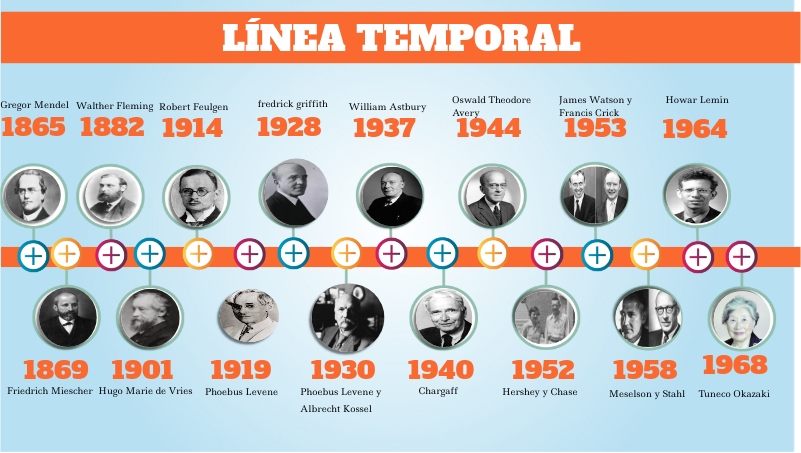 Genially HISTORIA DEL ADN