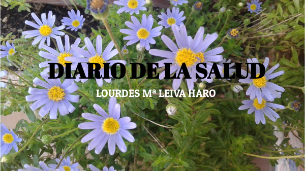 DIARIO DE LA SALUD 5 | Genially