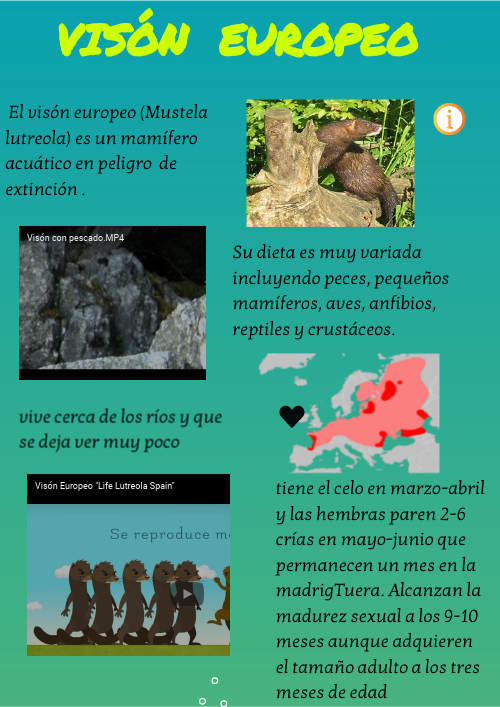 5ºa vison europeo | Genially