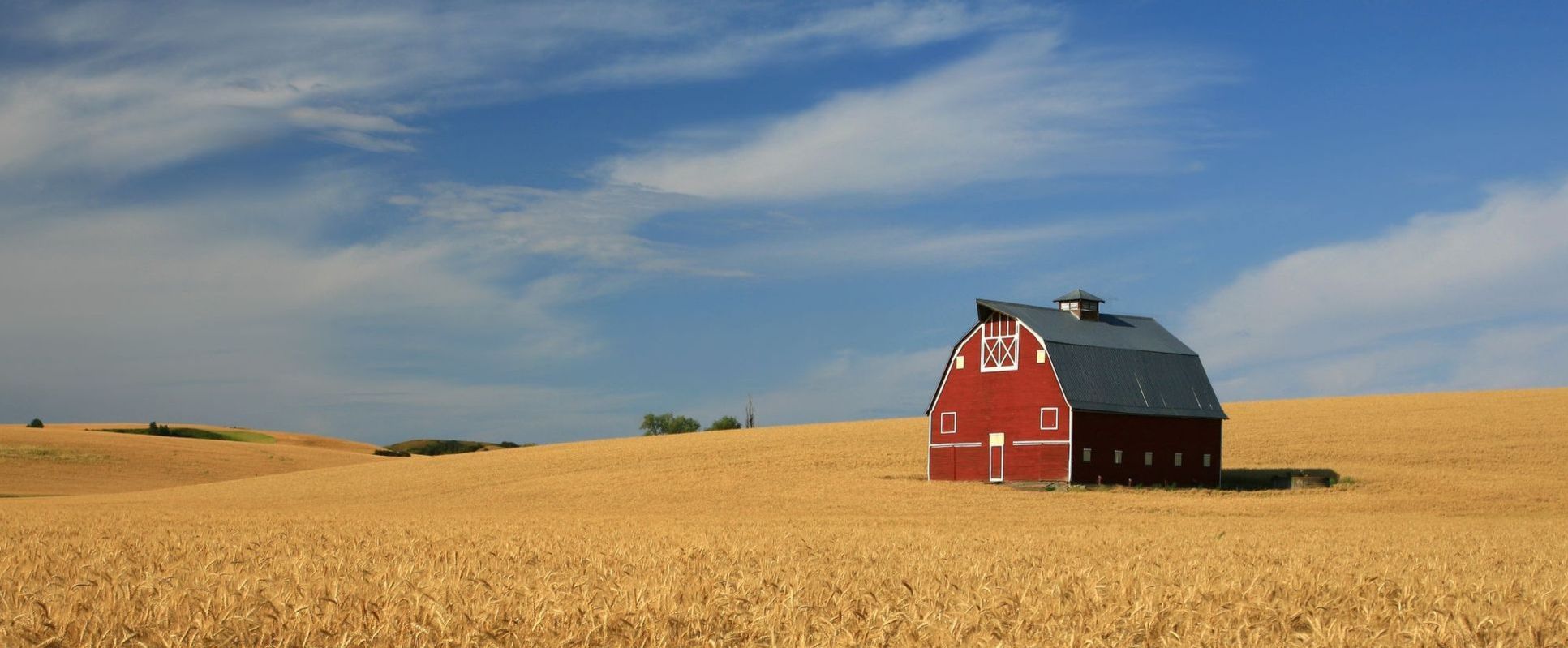 Schéma Habiter les Grandes Plaines des Etats-Unis | Genially