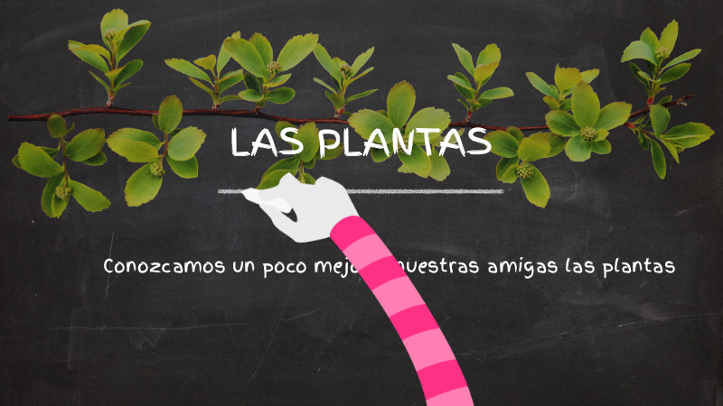 Jugamos con las plantas | Genially