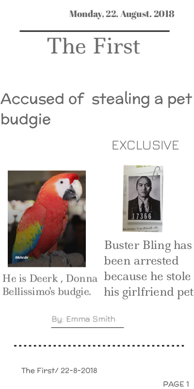 Buster Bling | Genially