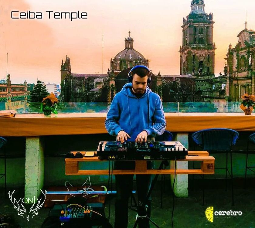 Programación Cerebro Radio