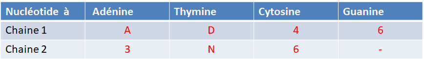 Escape game ADN, nombre de nucléotides