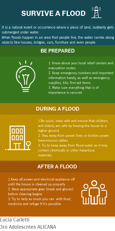 Survive A Flood- Lucía Carletti