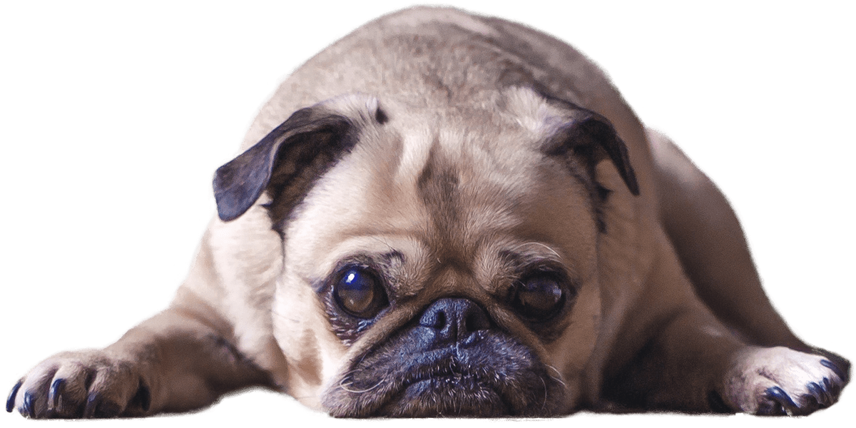 1-3 E8 set | Genially