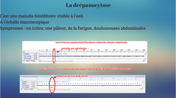 Infographie Rostan Emma Choe Lionel | Genially