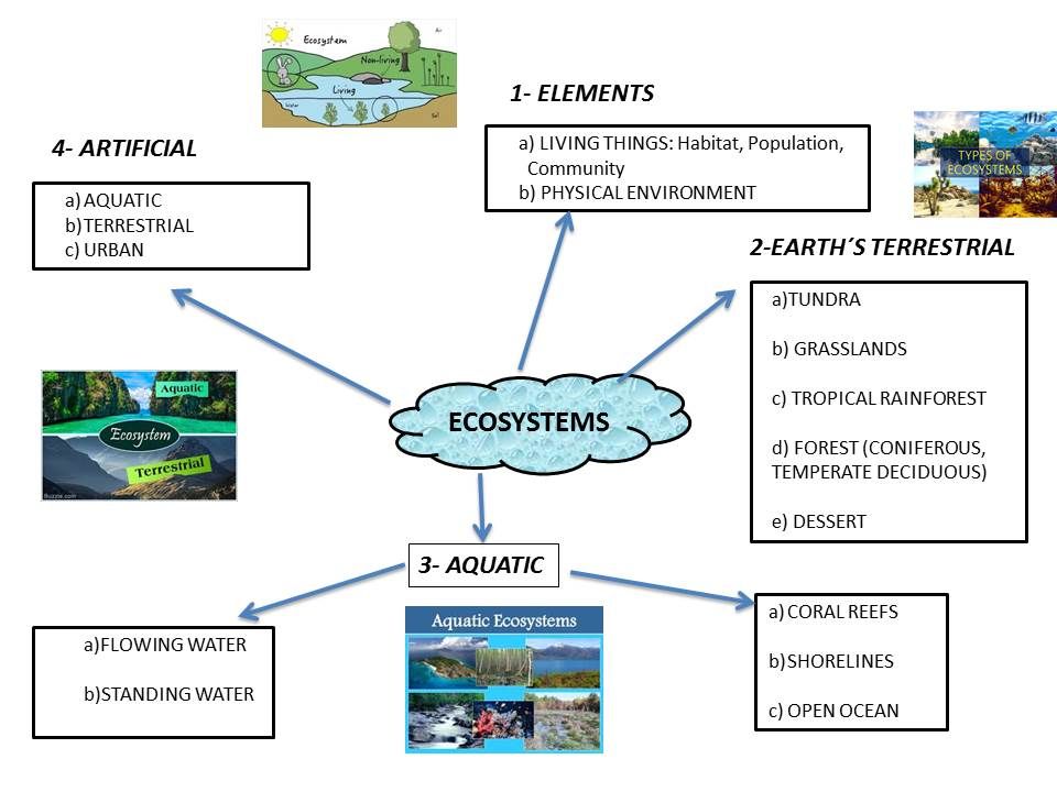EARTH ECOSYSTEMS