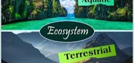 EARTH ECOSYSTEMS