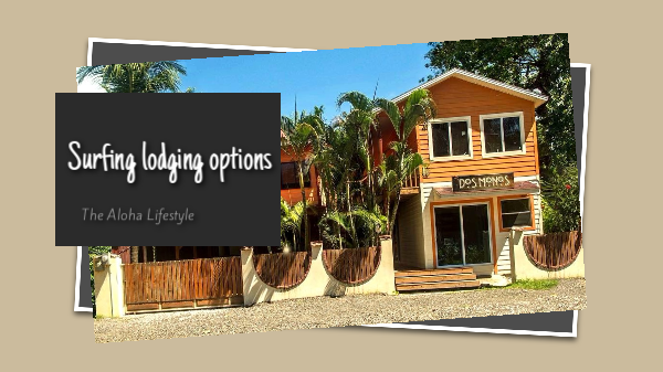 Surfing options | Genially