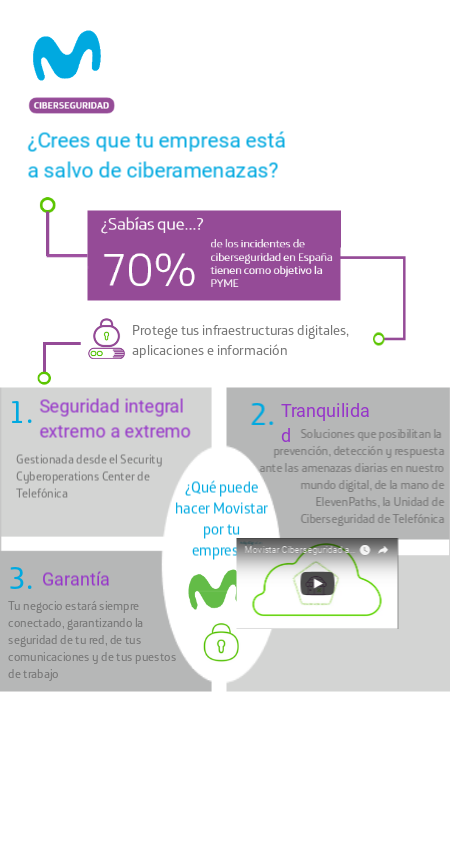 Infografía ciberseguridad | Genially