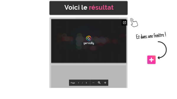 Support: PDF dans une fenêtre