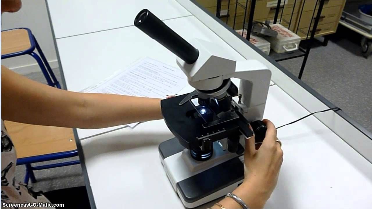 TP1-seconde | Genially