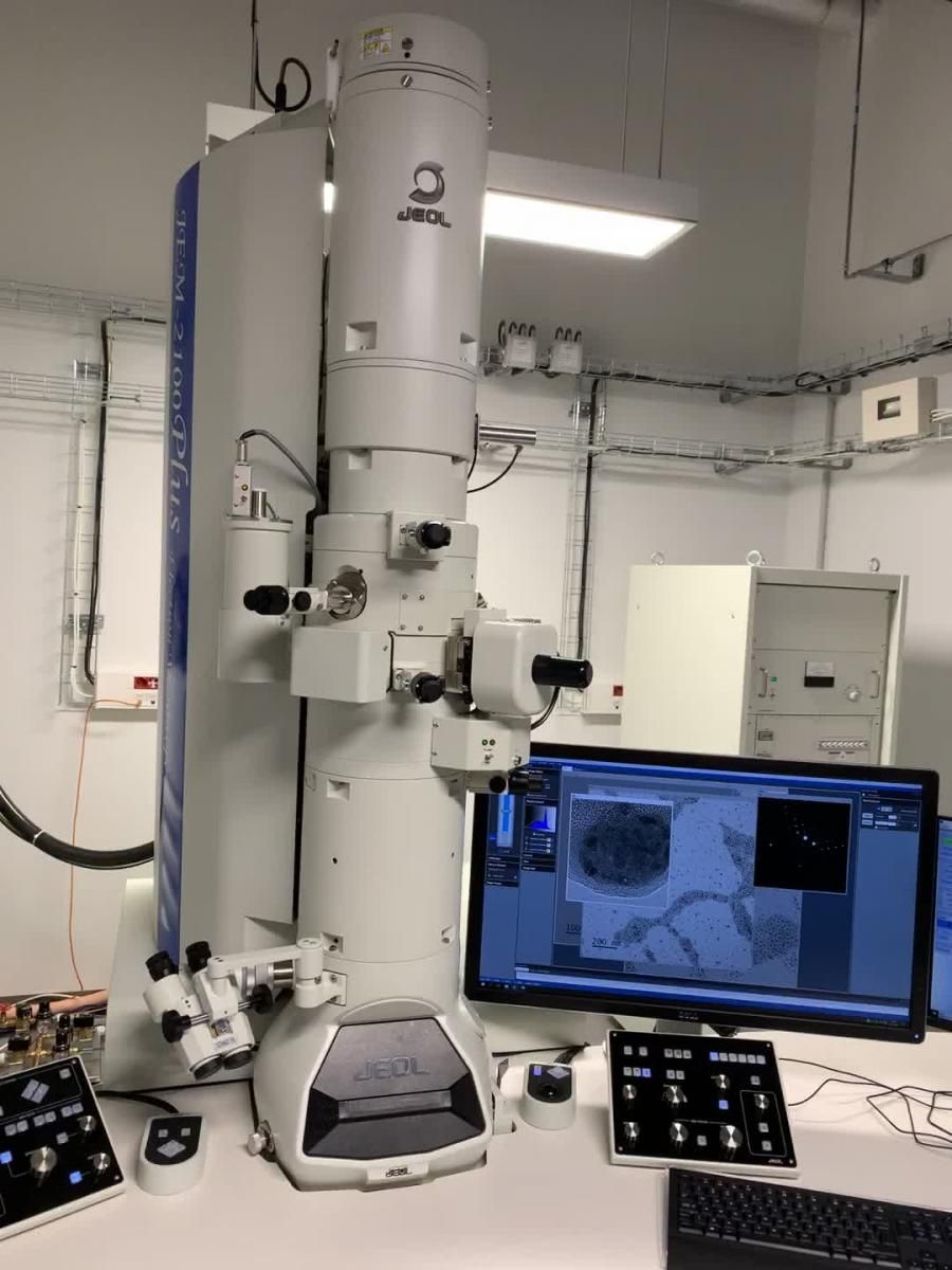 TP1-seconde | Genially