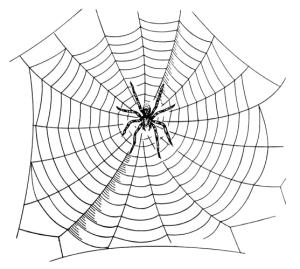 TROISIEME Chapitre n°2 : Gravitation universelle | Genially