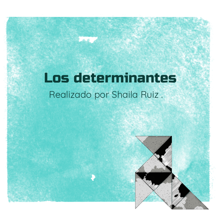 los determinantes
