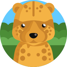 Guess the jungle animal interactive game | Genially