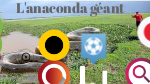 anaconda geant