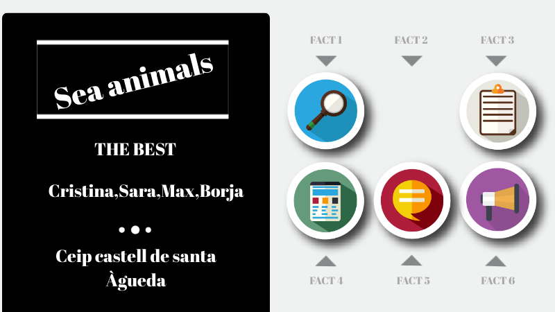 Sea animals | Genially