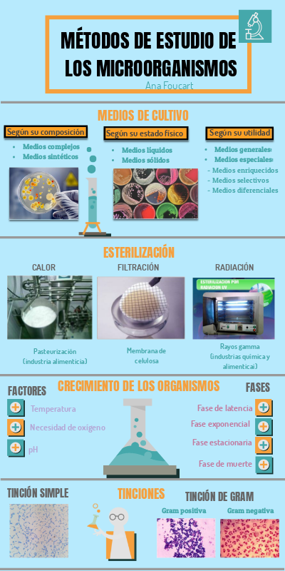 Medios de estudio de los microorganismos | Genially
