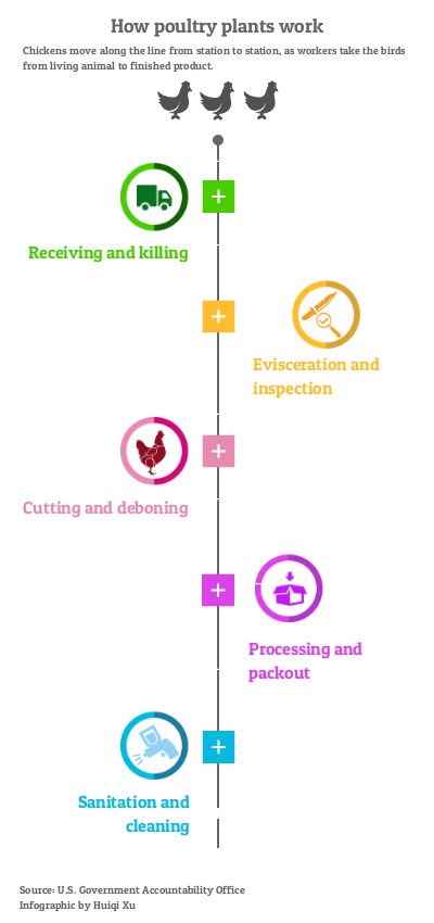 Common Process in Poultry Plants