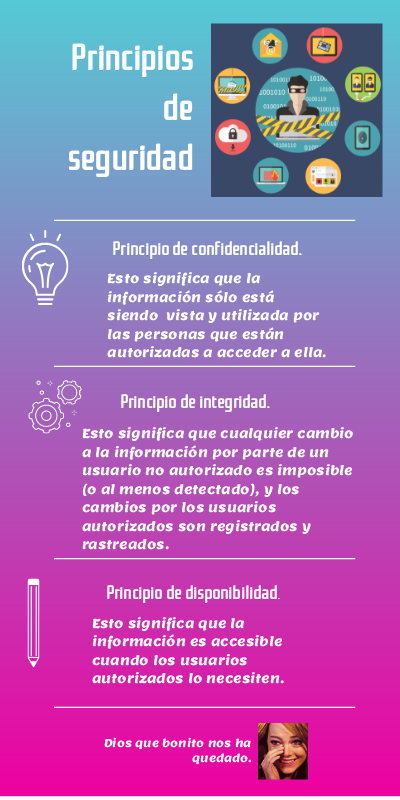Principios de seguridad. | Genially