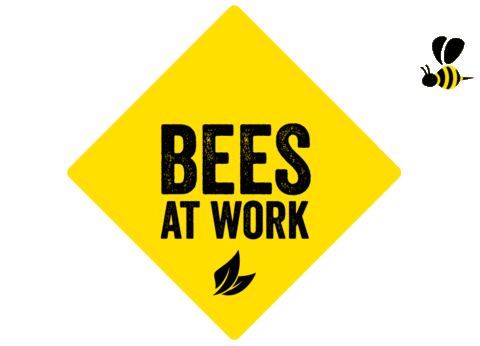 2nd graders bees | Genially