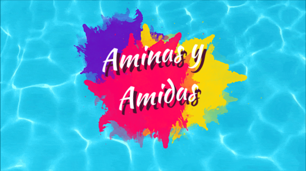 Aminas y amidas | Genially