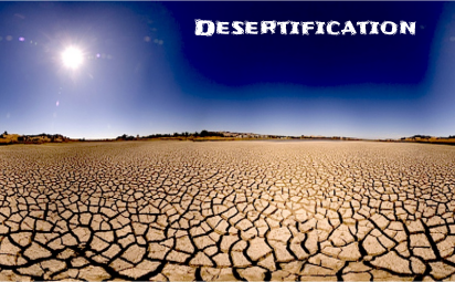 Interactive image | Genially