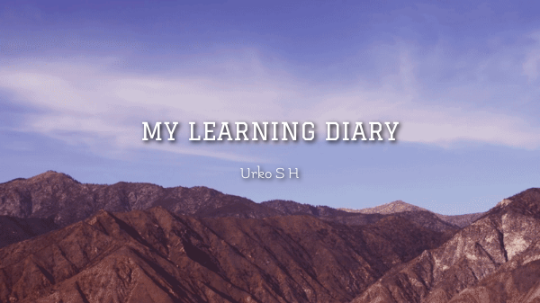 My learning diary - Urko Salgado Herrera