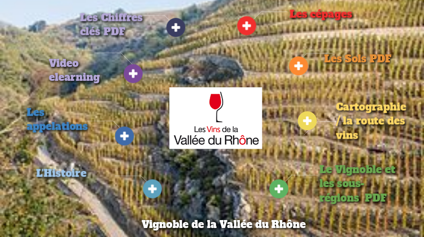 Les Vignobles du Rhône | Genially