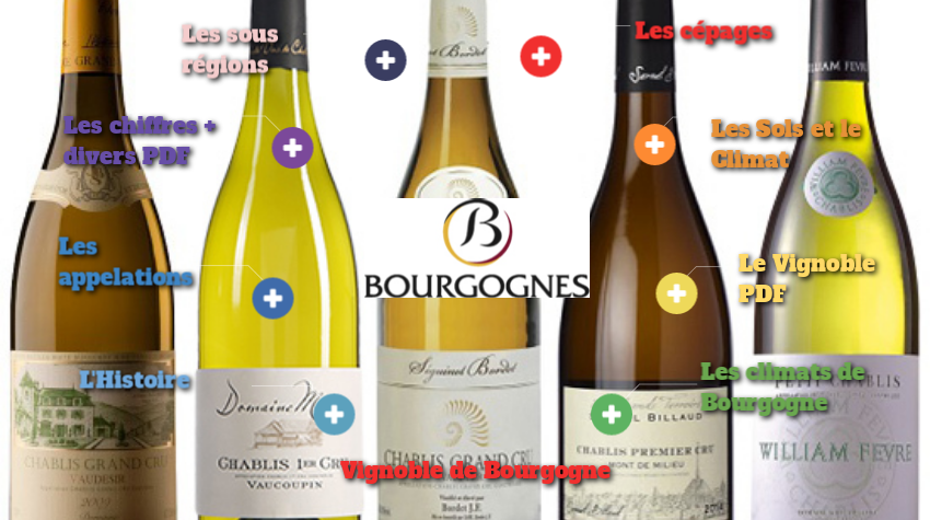Les Vignobles de Bourgogne
