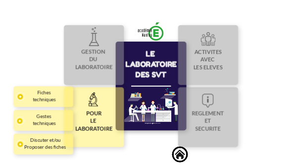 Pour le Labo | Genially