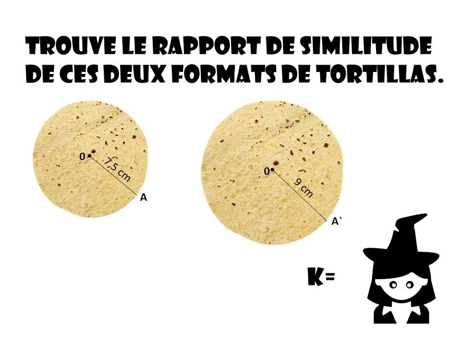 4/5 CSI proportions | Genially