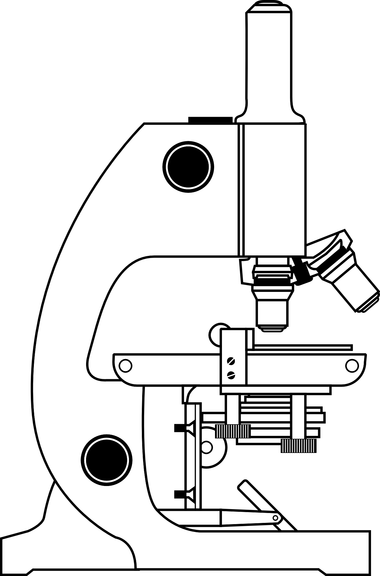 discovering the simple microscope