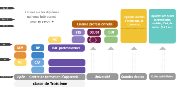 Schéma des études de la voie professionnelle | Genially