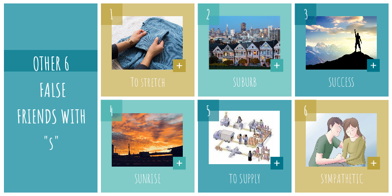 FALSE FRIENDS WITH "S"