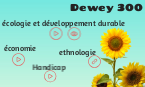 Dewey 300