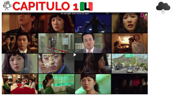 CAPITULOS - MI ADORABLE SOON SAM