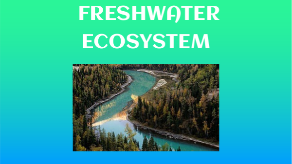 Freshwater