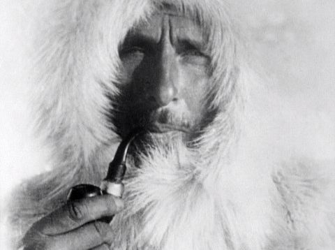 Alfred Wegener | Genially