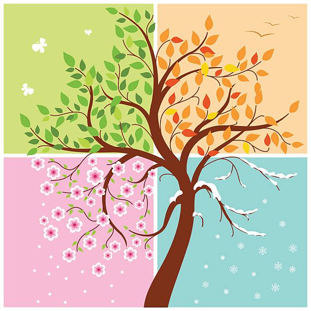 Four Seasons | Genially