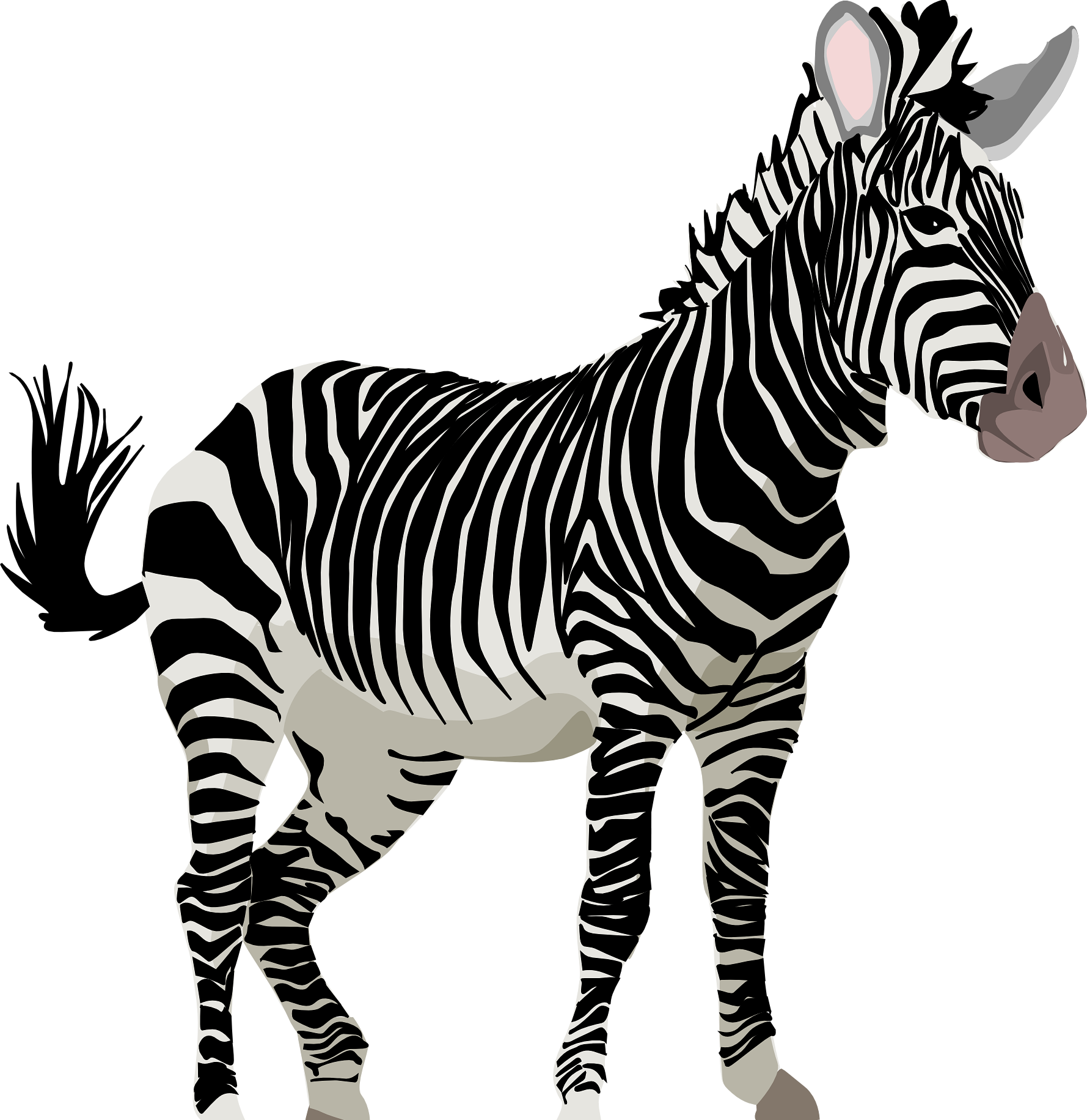 Na slovo, na slovo Z | Genially