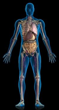 5 eme PDT 3 partie 3 chap 2 | Genially