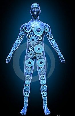 5 eme PDT 3 partie 3 chap 2 | Genially