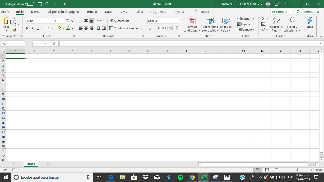excel