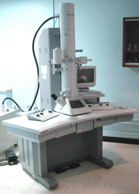 Explorer la cellule au microscope électronique | Genially